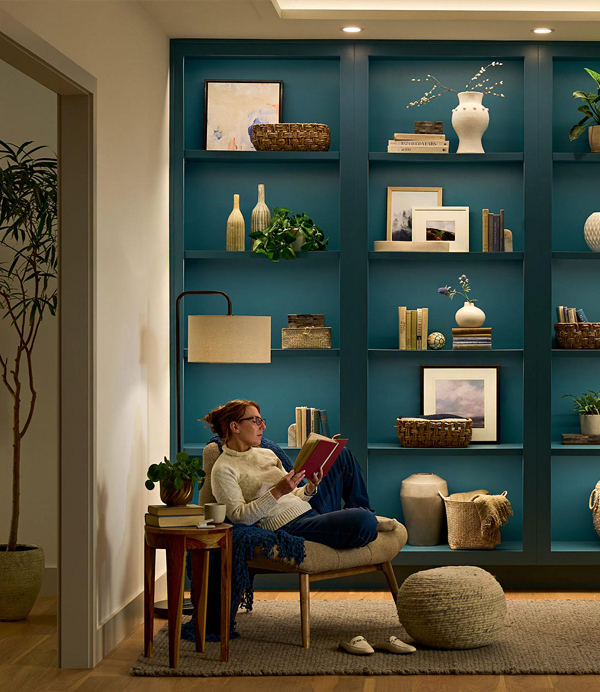 Dimmers, Switches & Light Control Accessories | Lutron