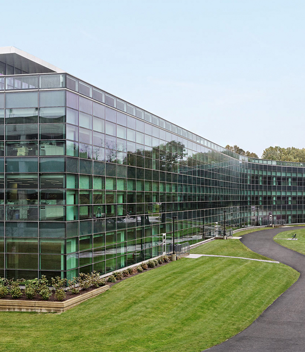 SAP America Leed Certified Office Lighting Case Study | Lutron